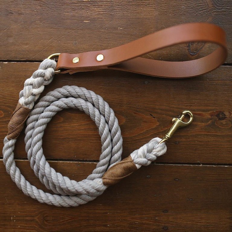 Orange Dog Rope Leash: Durable and Stylish Design