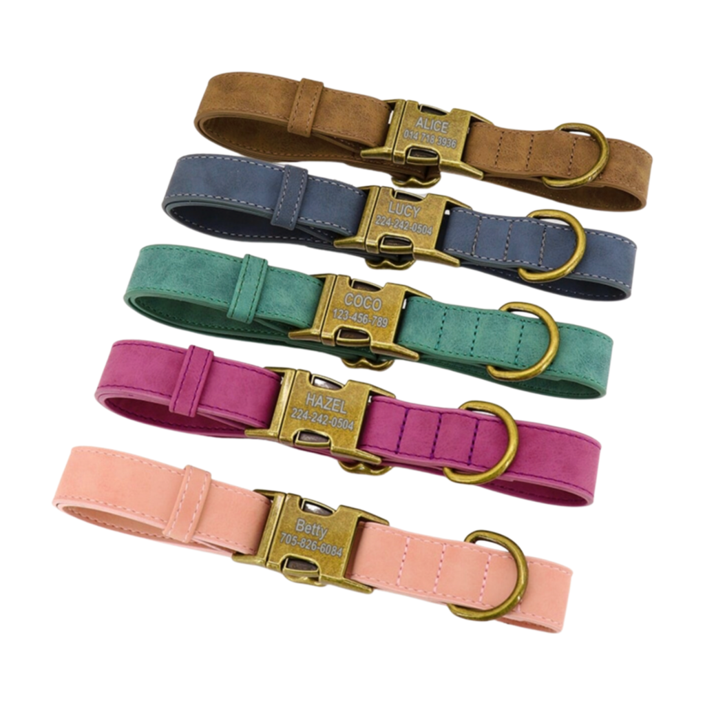 Gray Leather Dog Collars With Handle | Dog and Cats Collars Manufacturer