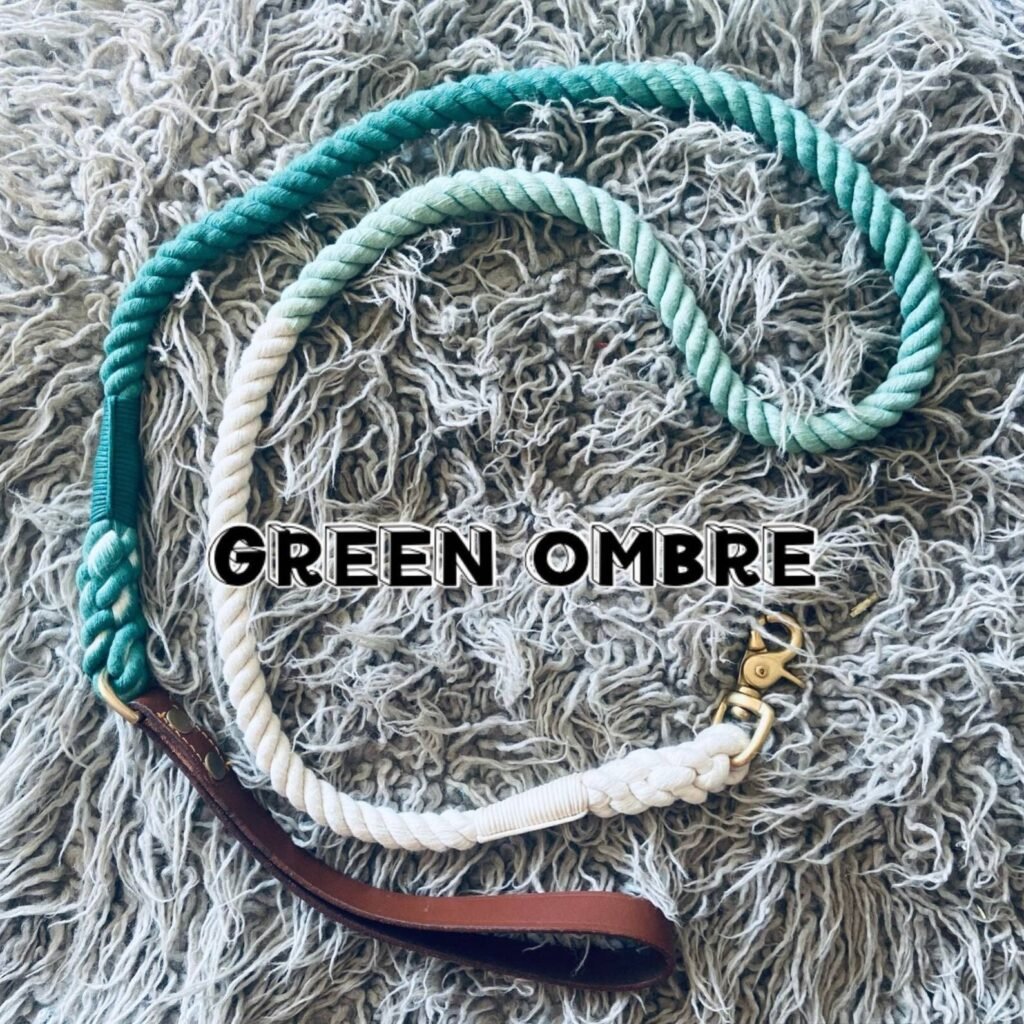 Orange Dog Rope Leash: Durable and Stylish Design